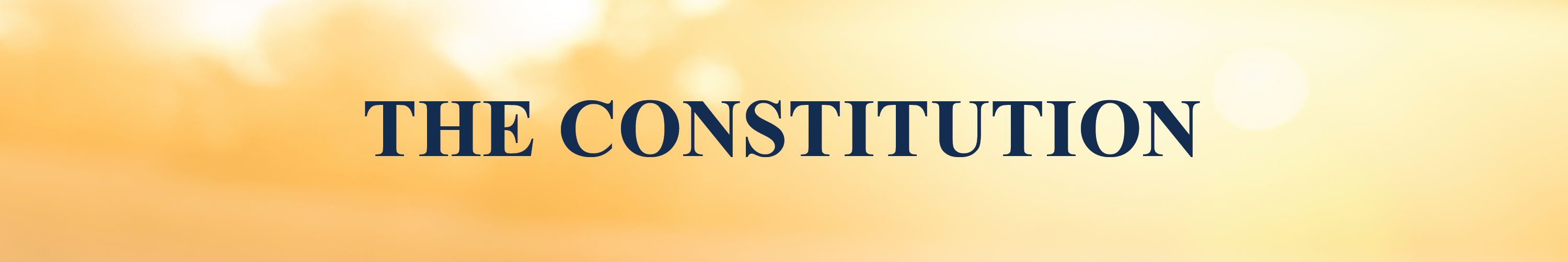 Constitution Challenge | M4L National - USA